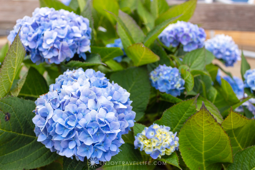 Chatham Tides Inn: Waterfront Weekend in Chatham, Cape Cod