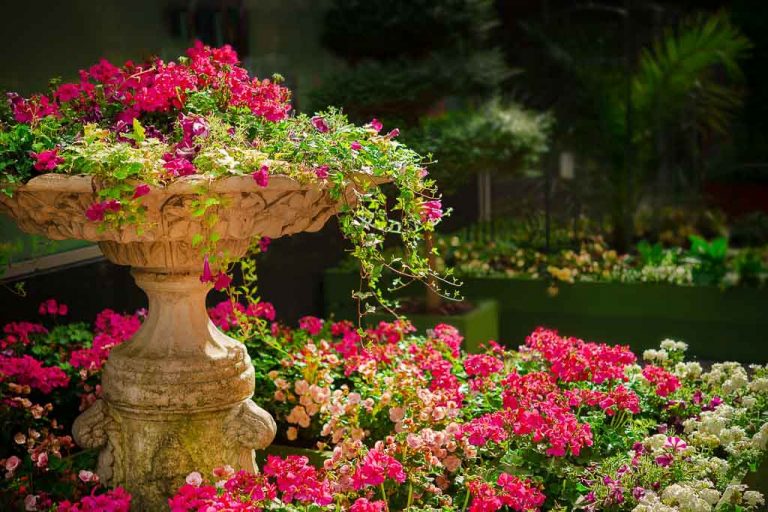 Best Virtual Garden Tours in the World [Botanical Gardens]