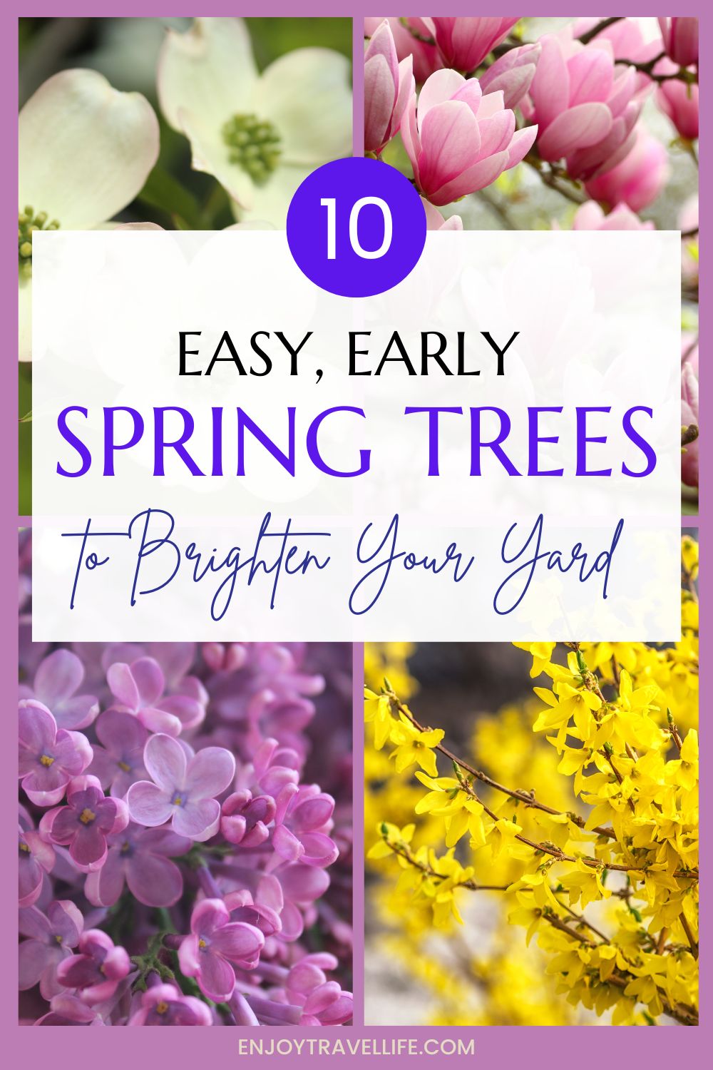 10 Easy, Early Spring Blooming Trees & Vibrant Shrubs!
