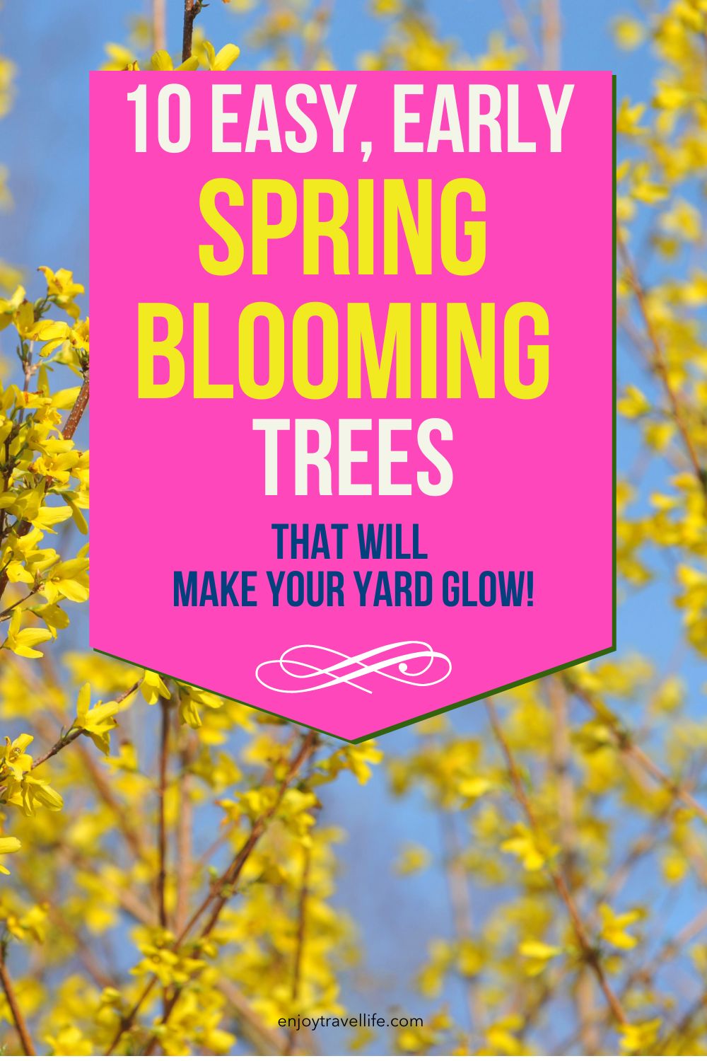 10 Easy, Early Spring Blooming Trees & Vibrant Shrubs!