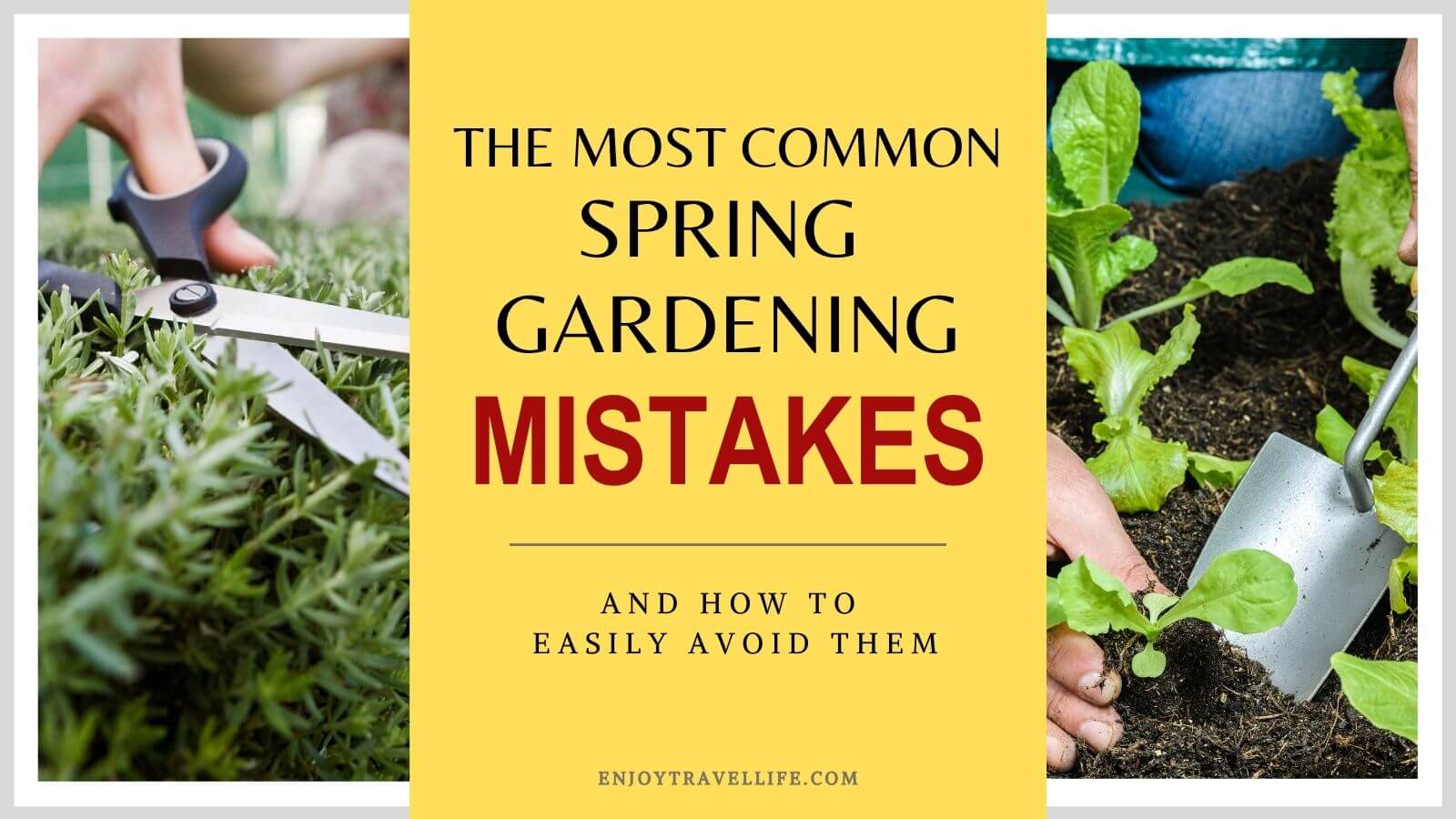 5 Most Common Spring Gardening Mistakes (And How To Easily Avoid Them)