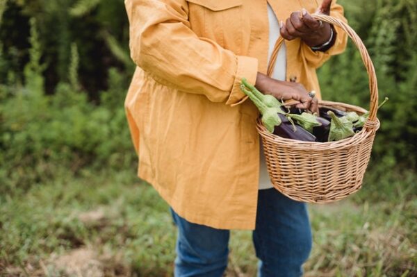 What to Wear When Gardening? Garden Clothes That Look & Feel Great!