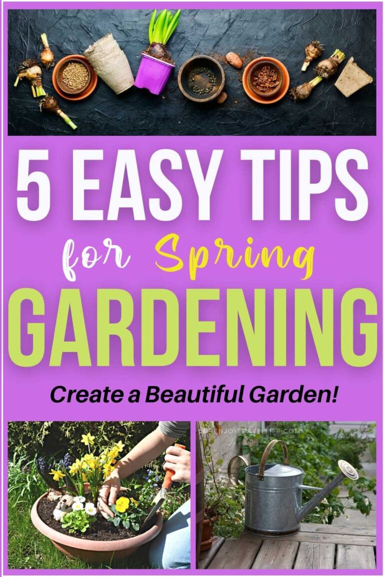 Top 5 Easy Gardening Tips: How to Prepare Garden for Spring Planting