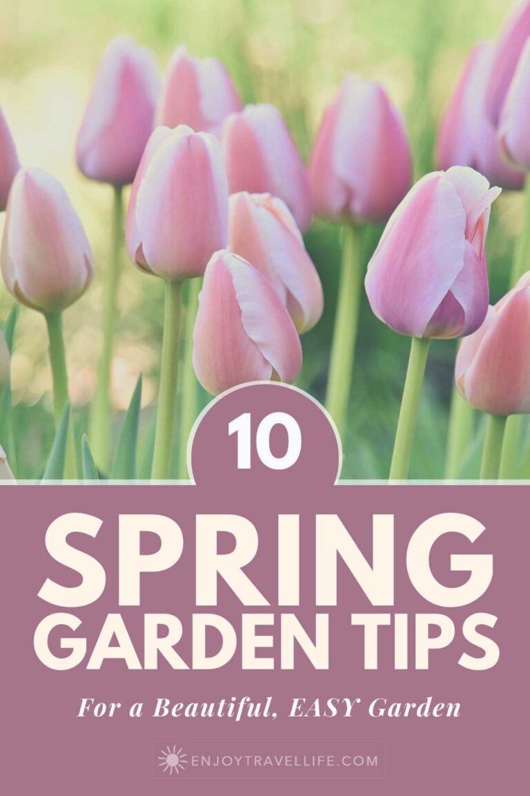 Top 5 Easy Gardening Tips: How to Prepare Garden for Spring Planting