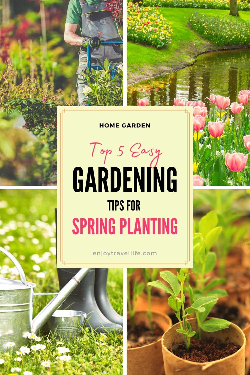 Top 5 Easy Gardening Tips: How to Prepare Garden for Spring Planting