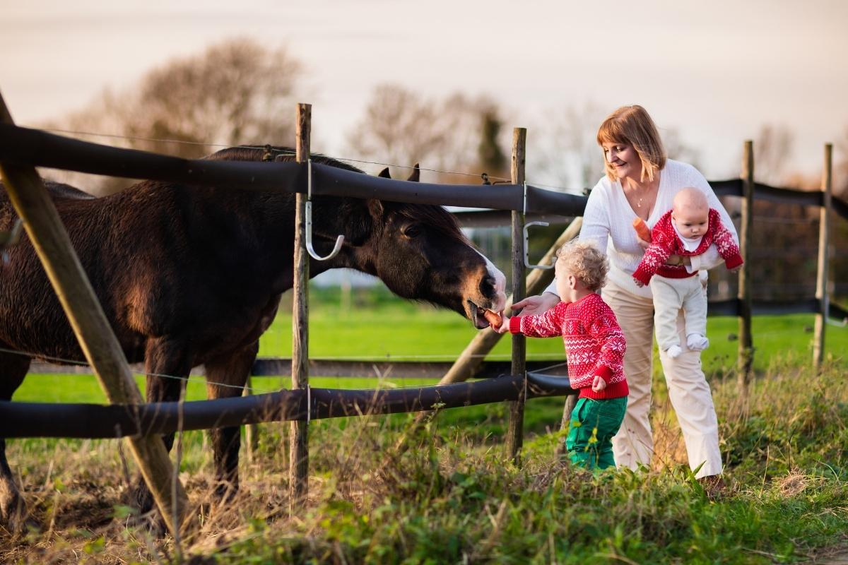 10 Best Places to Travel with Baby as New Grandparents