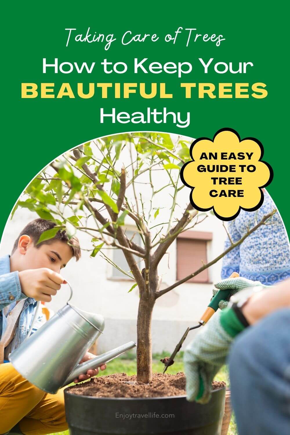 Taking Care of Trees: How to Keep Your Beautiful Trees Healthy
