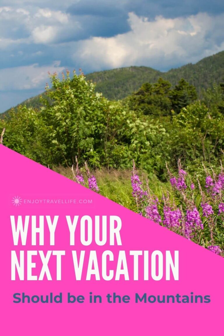 5 Compelling Reasons to Enjoy Summer Vacation in the Mountains