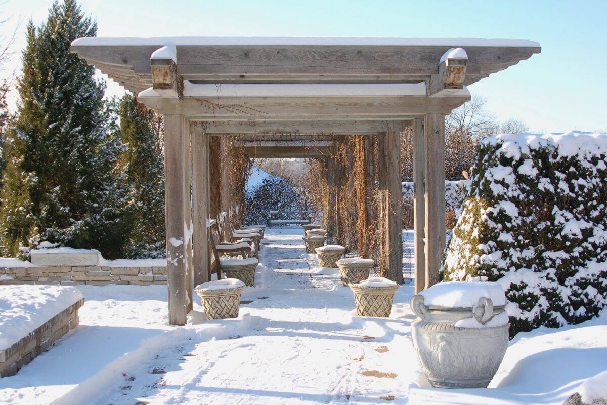 Winter Interest Plants and Easy Tips for Landscaping in Winter