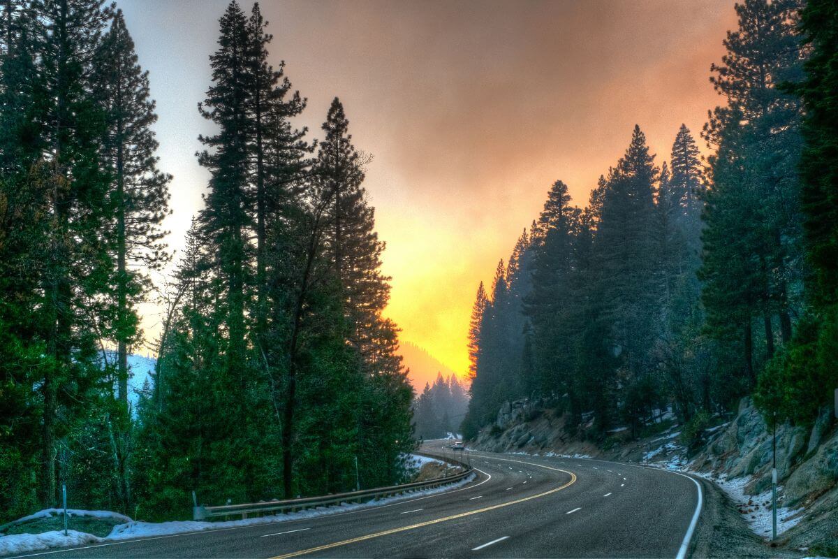 How to Prepare for a Long Drive with these 7 Simple Steps