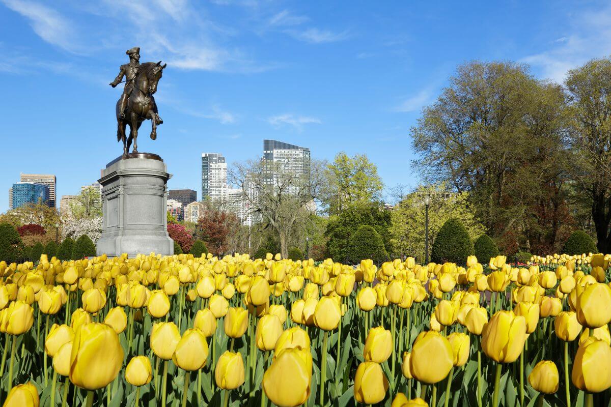 Spring in Boston: 19 Beautiful Botanical Gardens and Garden Spaces!