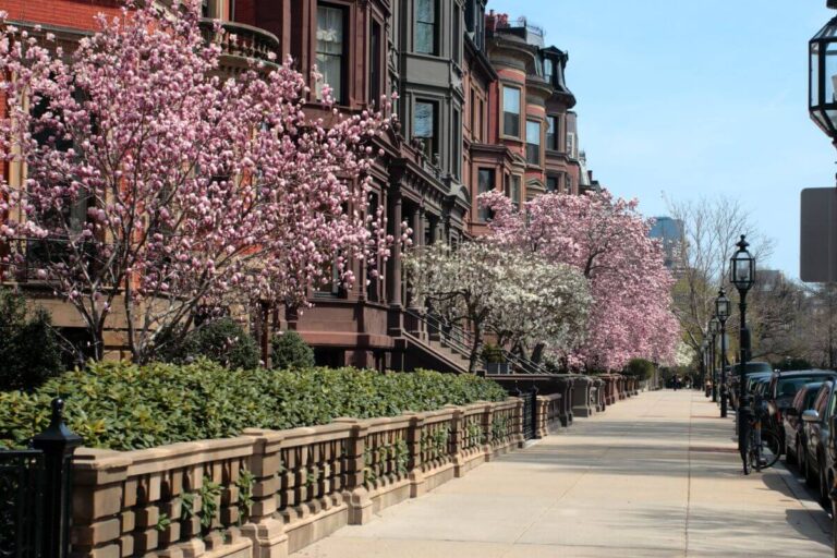 Spring in Boston: 19 Beautiful Botanical Gardens and Garden Spaces!