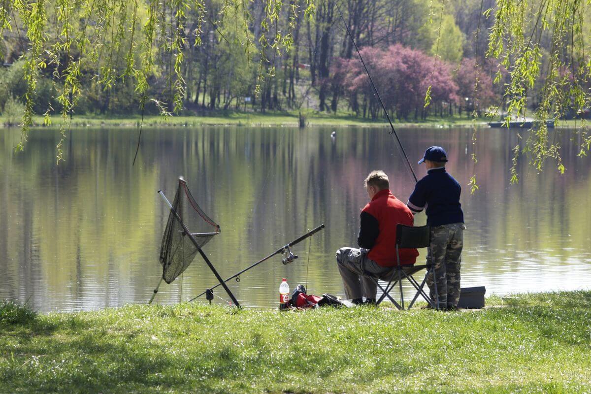 Best Fish Finders: How to Pick The Right One For Fishing