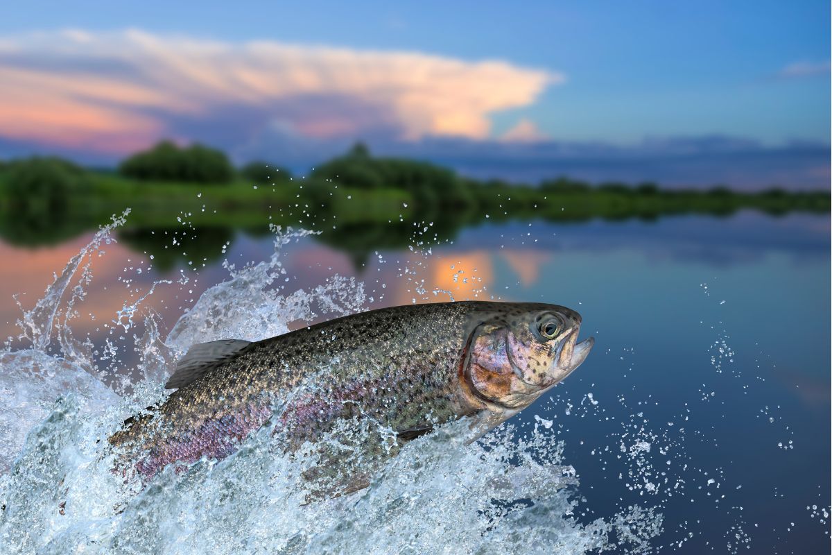 5 Bucket List Fishing Trips You'll Love in Incredible World Destinations