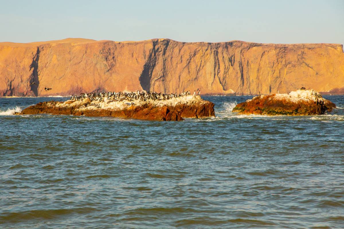 5 Bucket List Fishing Trips You'll Love in Incredible World Destinations