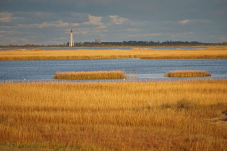21 Best Chesapeake Bay Things to Do for Great Fun