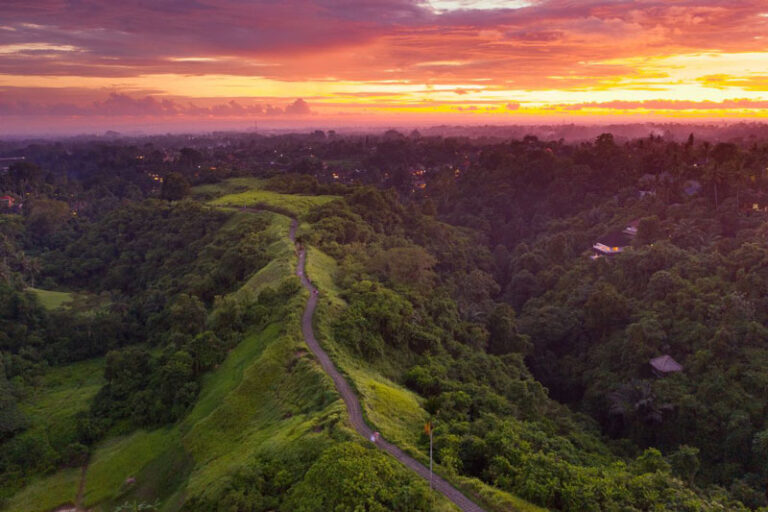 What to Do in Ubud, Bali? Walk the Beautiful Campuhan Ridge!