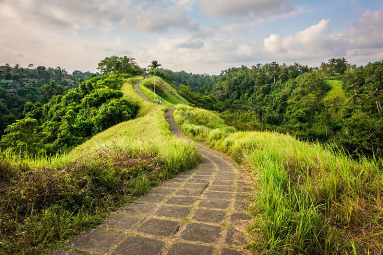 What to Do in Ubud, Bali? Walk the Beautiful Campuhan Ridge!