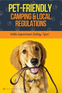 7 Steps To Pet Friendly Camping (and the Best Experiences!)