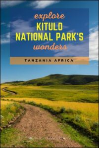 Tanzania's "Garden of The Gods" in Kitulo National Park