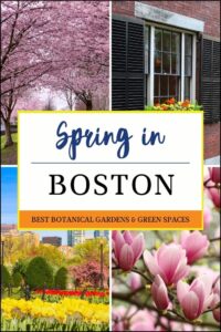 Spring in Boston: 19 Beautiful Botanical Gardens and Garden Spaces!