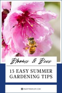 13 Easy Summer Gardening Tips for a Vibrant Home Garden