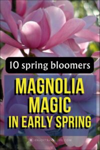 10 Easy, Early Spring Blooming Trees & Vibrant Shrubs!