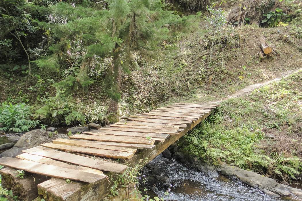 Beginner's Guide to Kilimanjaro, Climb Africa's Tallest Peak