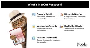 How To Get A Cat Passport in 5 Easy Steps (Avoid Delays!)