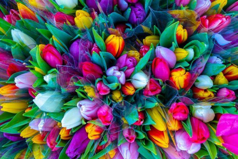Best Flowers for Mom That Go Beyond Roses – Unique Ideas She’ll Love