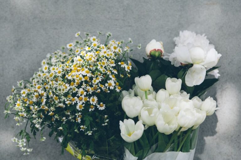 Best Flowers for Mom That Go Beyond Roses – Unique Ideas She’ll Love